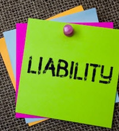 Florida Premises Liability: Woman & Busch Gardens' Shared Blame